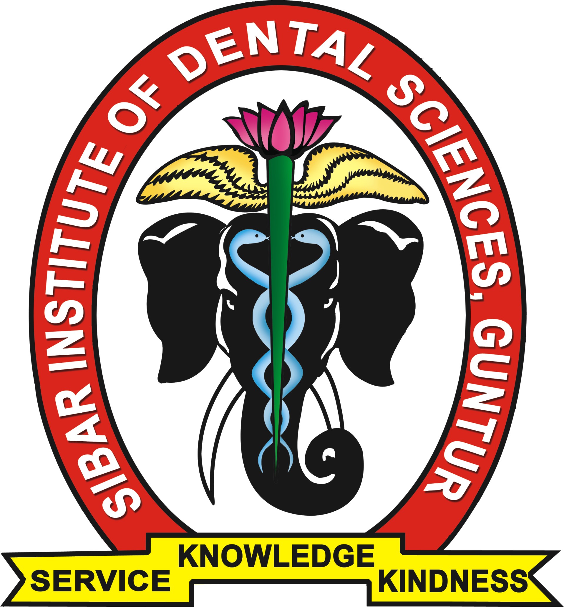 International Oral Diseases Case Presentation Conference 2024 - Oral ...